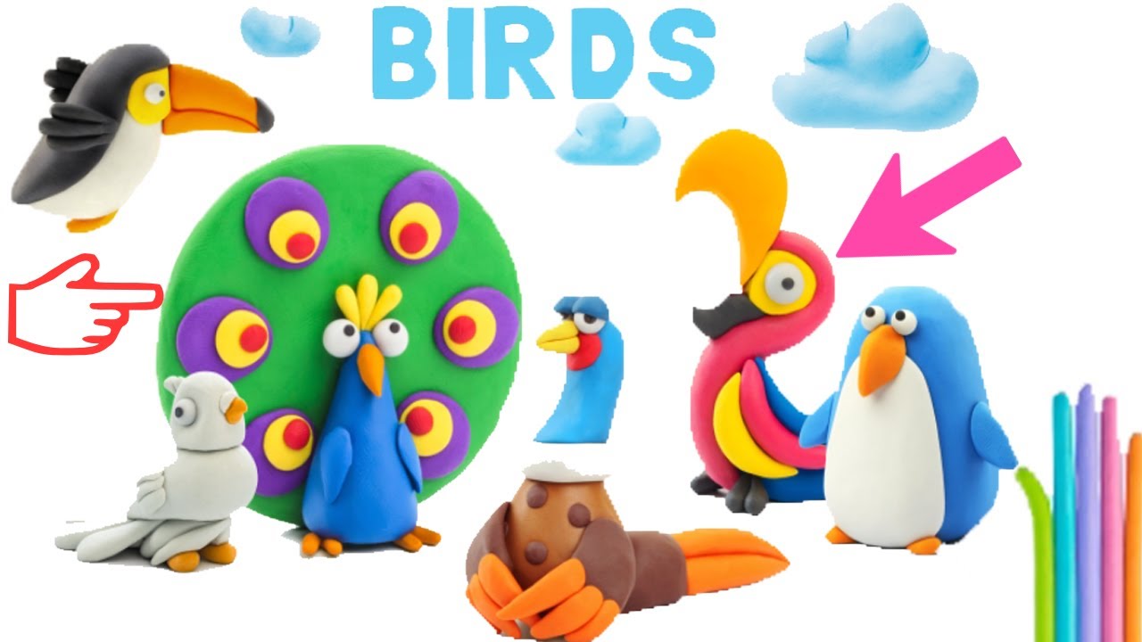 Hey Clay Bird - Talking Peacock & Ara Parrot - YouTube