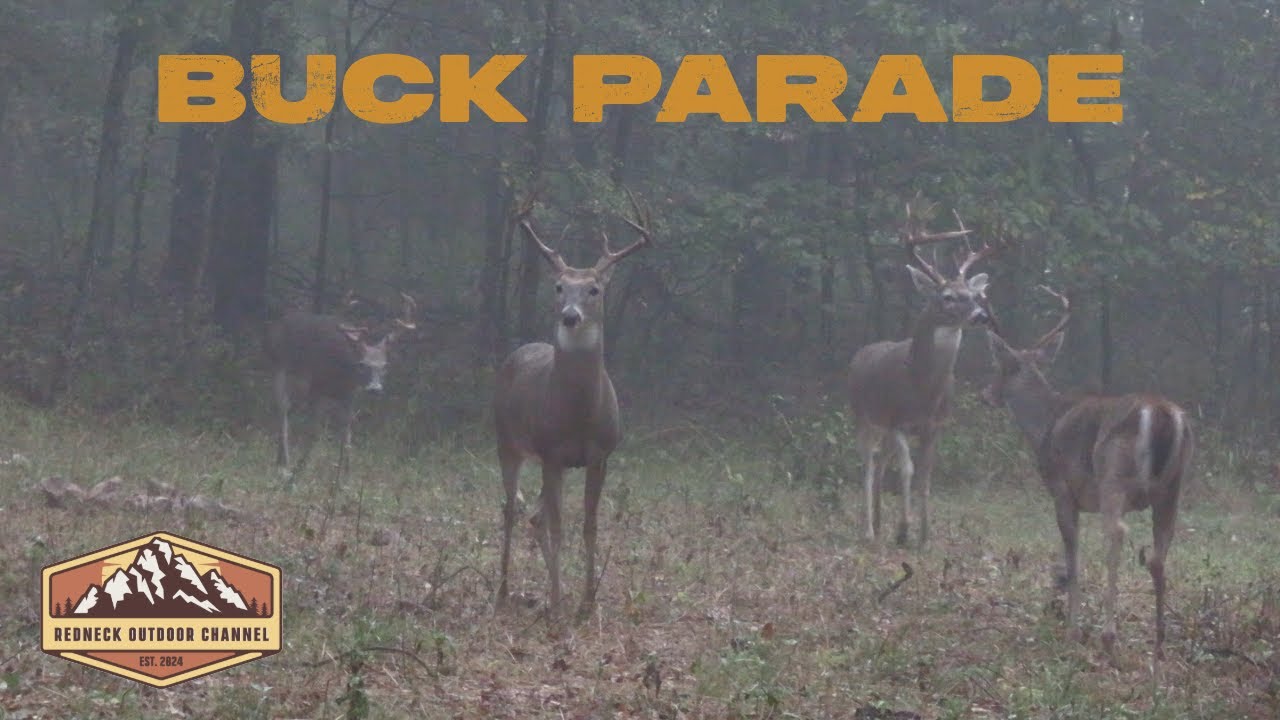Oklahoma Buck Parade, 150" Archery Buck - YouTube