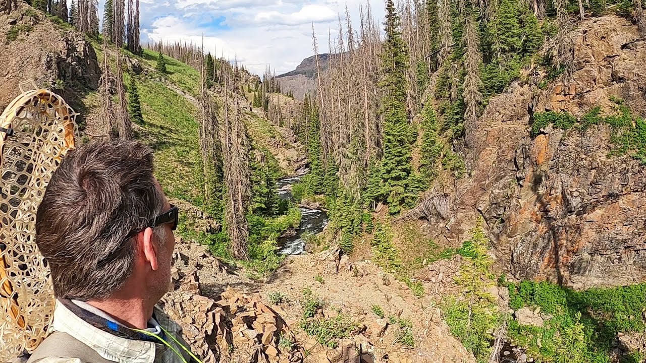 BACKCOUNTRY HIKE to a remote stream full of RARE and NATIVE trout based ...