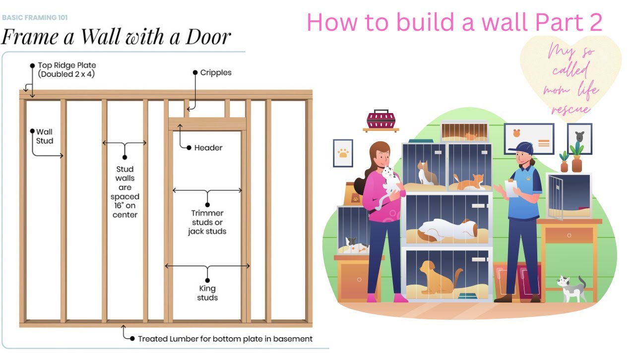 How to build a wall Part 2 | Animal rescue | DIY - YouTube