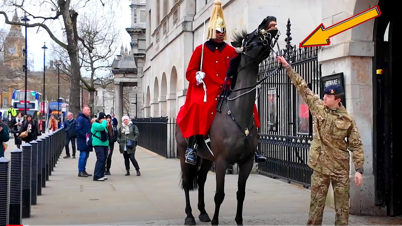 Soldier get INVOLDED in Keeping the Horse under Control ! - YouTube