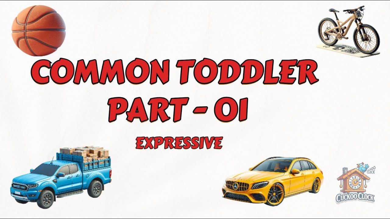 Toddler Learning Fun: Common Toddler Vocabulary Words Part - 1 with ...