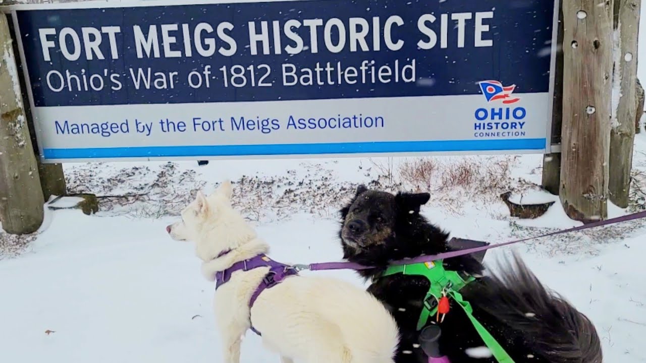 Sunday Vlog: Snow at Fort Meigs | Ohio War of 1812 Fort - YouTube