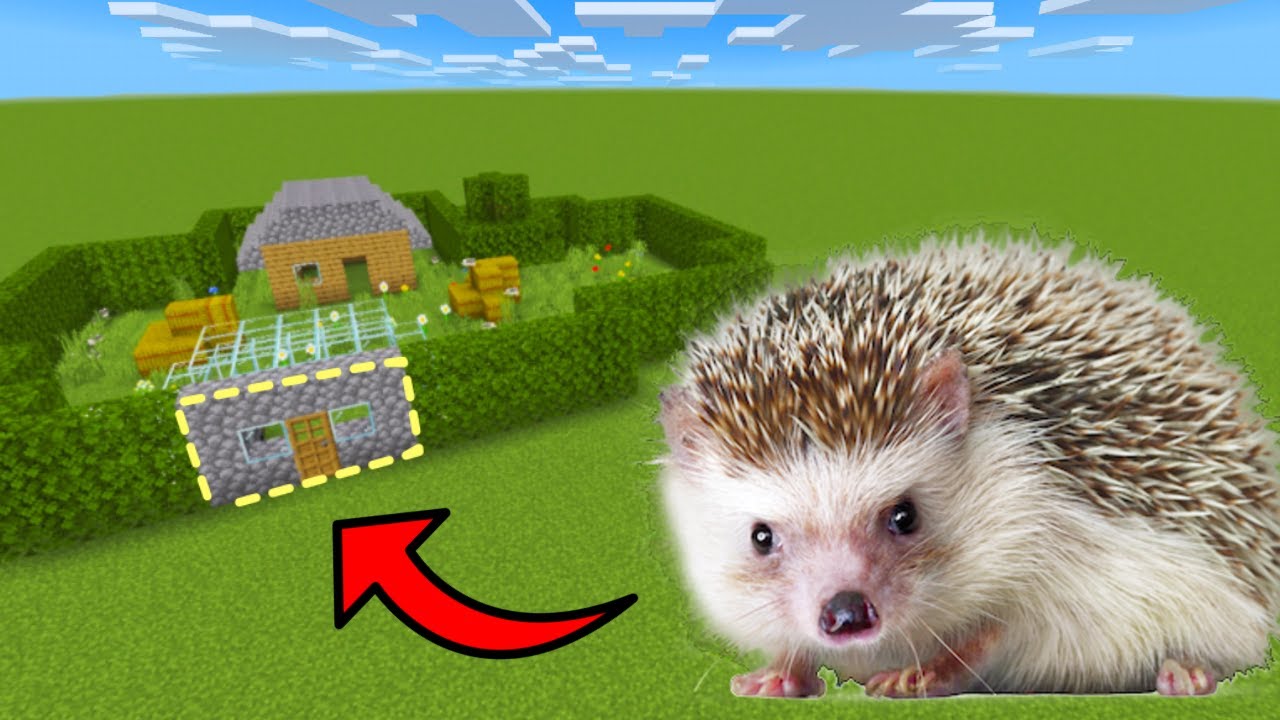 MCPE: How To Live Inside a Hedgehog Farm - YouTube