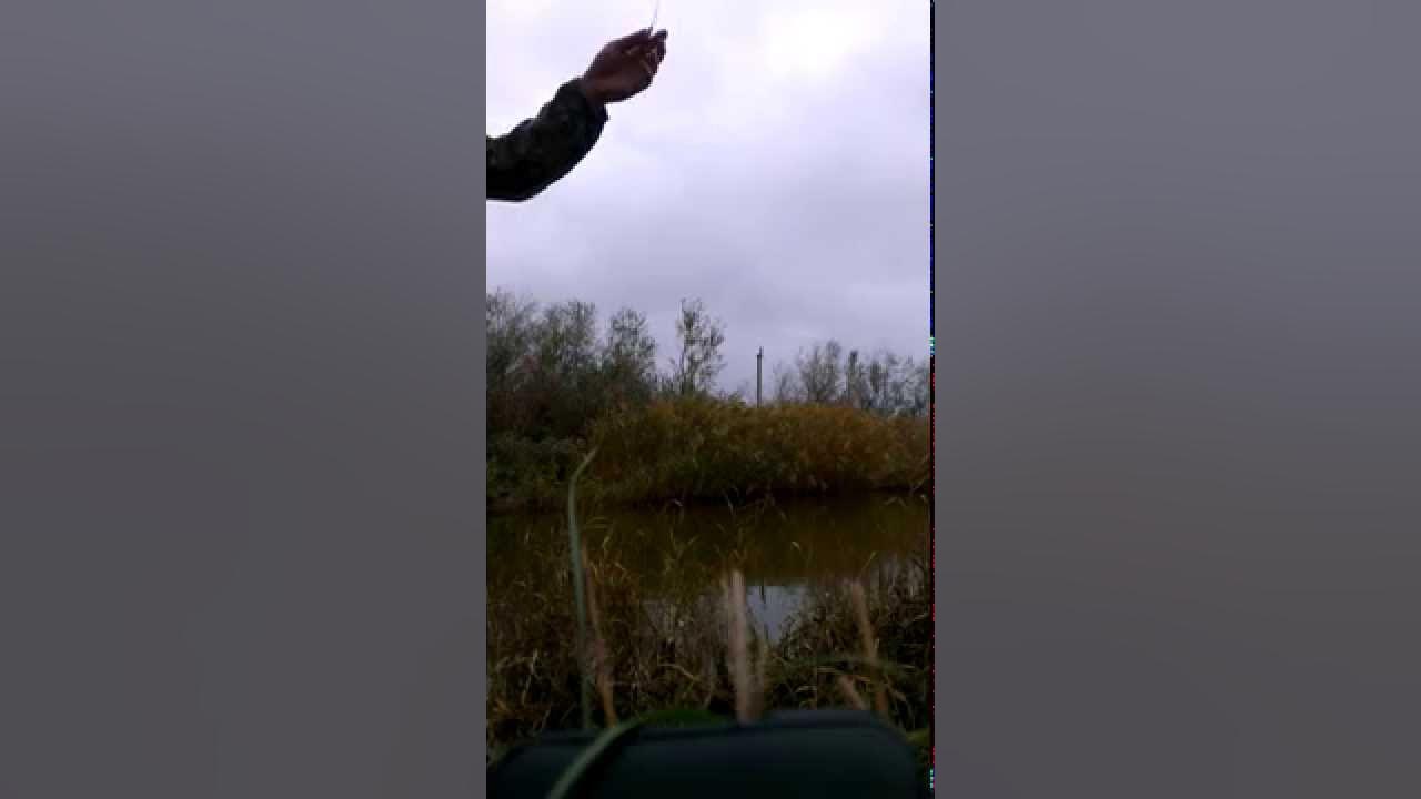 Окунь на Мепс-2 Аглия Лонг (х.Верхний) - YouTube