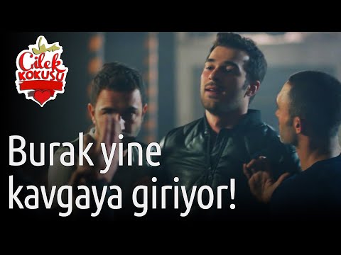 Burak Yine Kavgaya Giriyor! - Çilek Kokusu