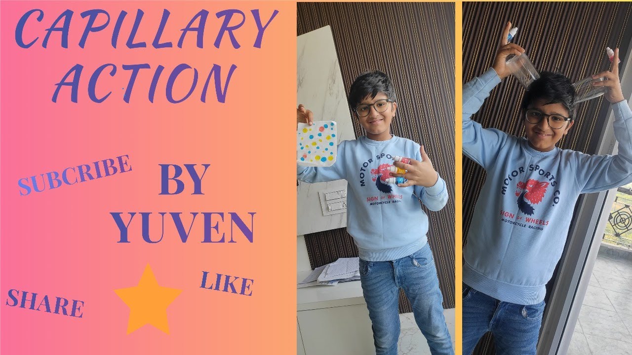 Capillary action - YouTube