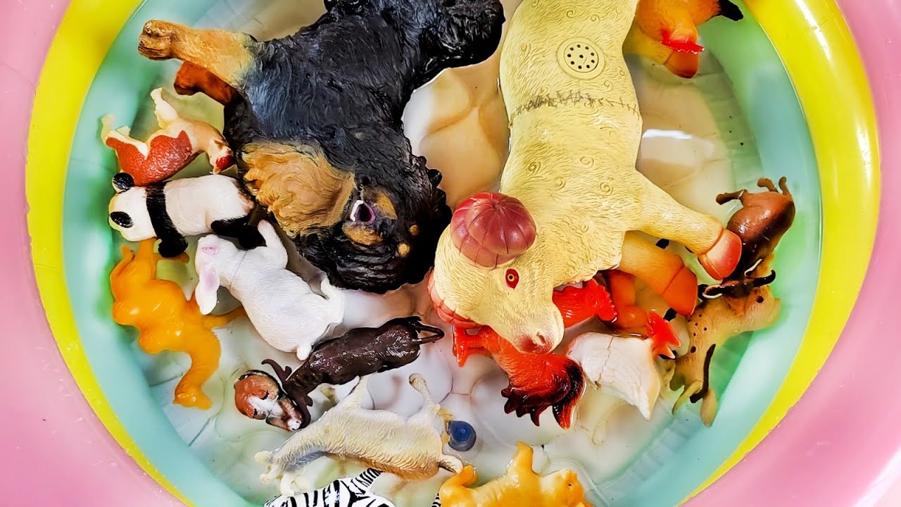 Two Big Farm Animals and Little Zoo Animals Fun in the Water | 큰 농장과 ...