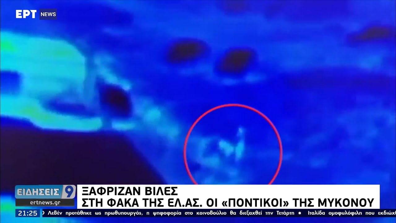 Ξάφριζαν βίλες: Στη φάκα της ΕΛ.ΑΣ. οι «ποντικοί» της Μυκόνου - YouTube