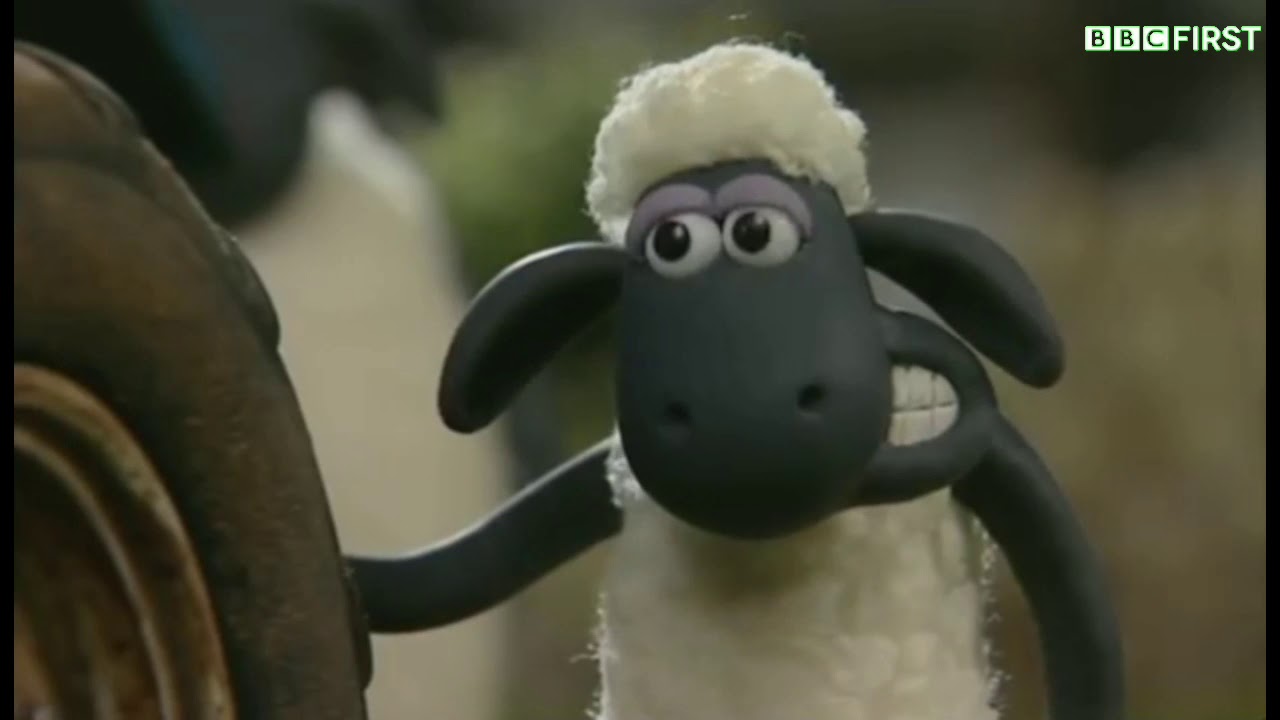 Baranek Shaun Cały Odcinek - YouTube