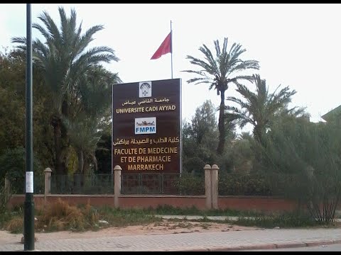 Correction de l'exercice de physique ( Concours de FMP Marrakech 2016 ...