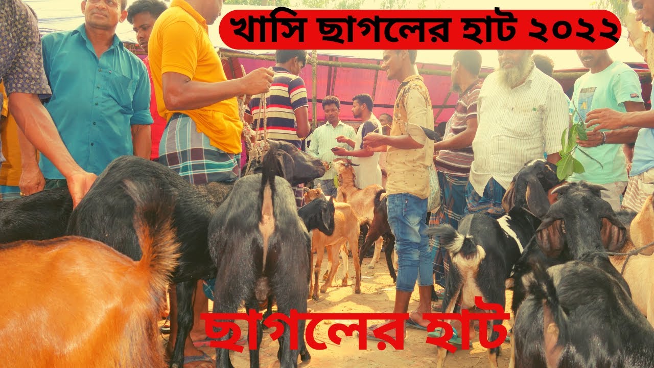 ছাগলের হাট ২০২২ || ছাগলের দাম || Sagoler hat 2022 - YouTube