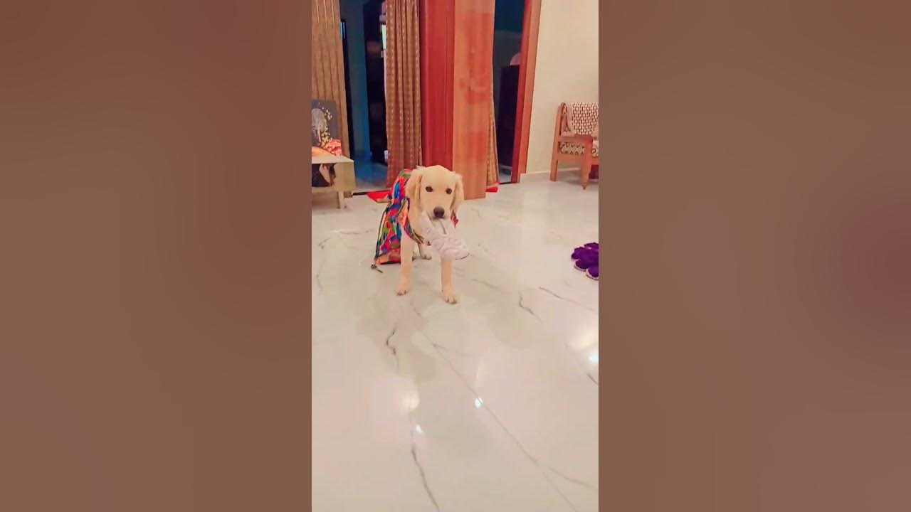 Ye Kitna Cute Hai Yar ️ Youtube