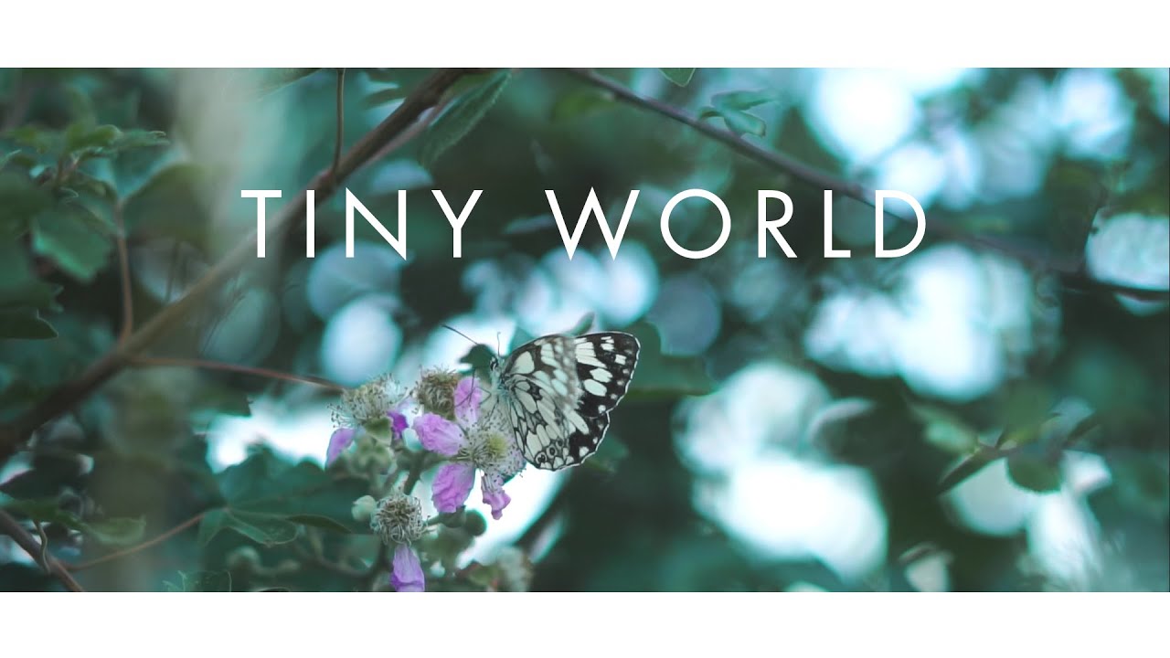 Tiny World - YouTube