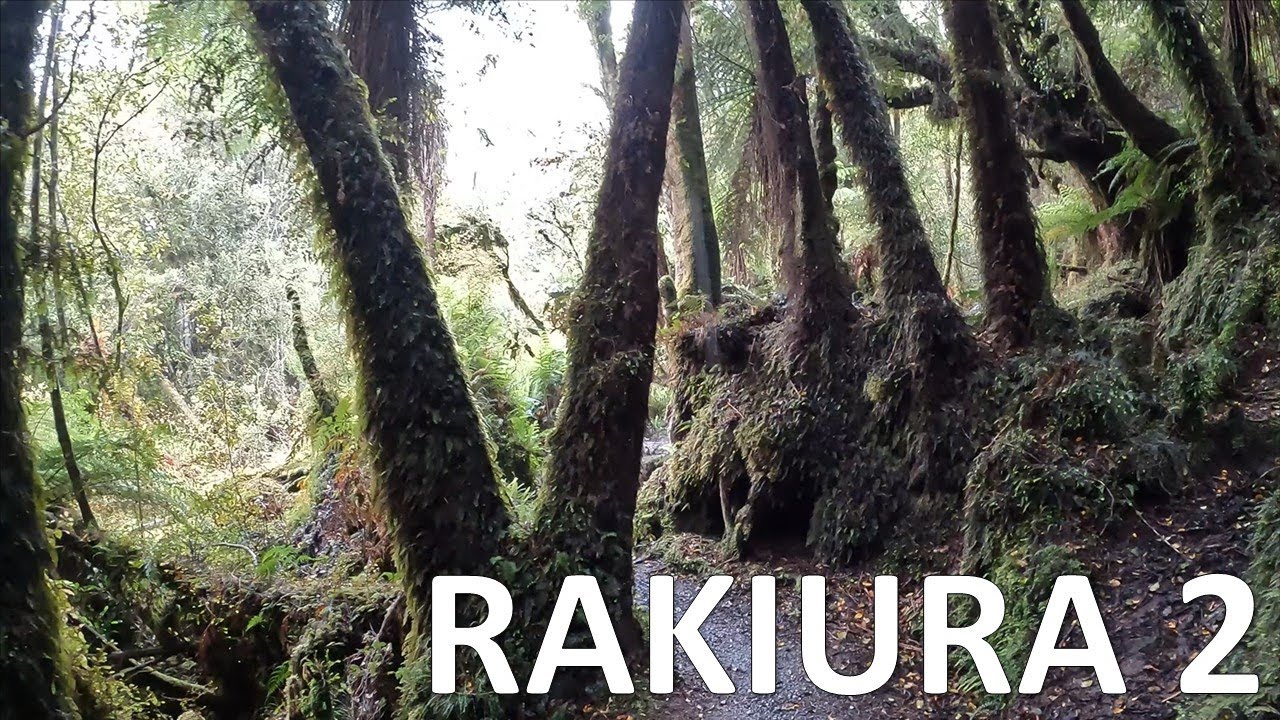 RAKIURA GREAT WALK - Port Willaim Hut to North Arm Hut and out - Days 2 ...