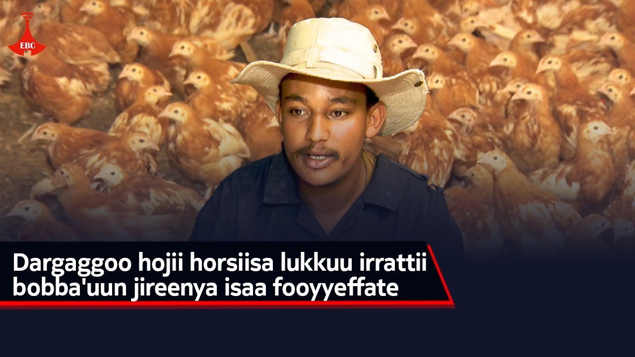 Dargaggoo hojii horsiisa lukkuu irrattii bobba'uun jireenya isaa ...