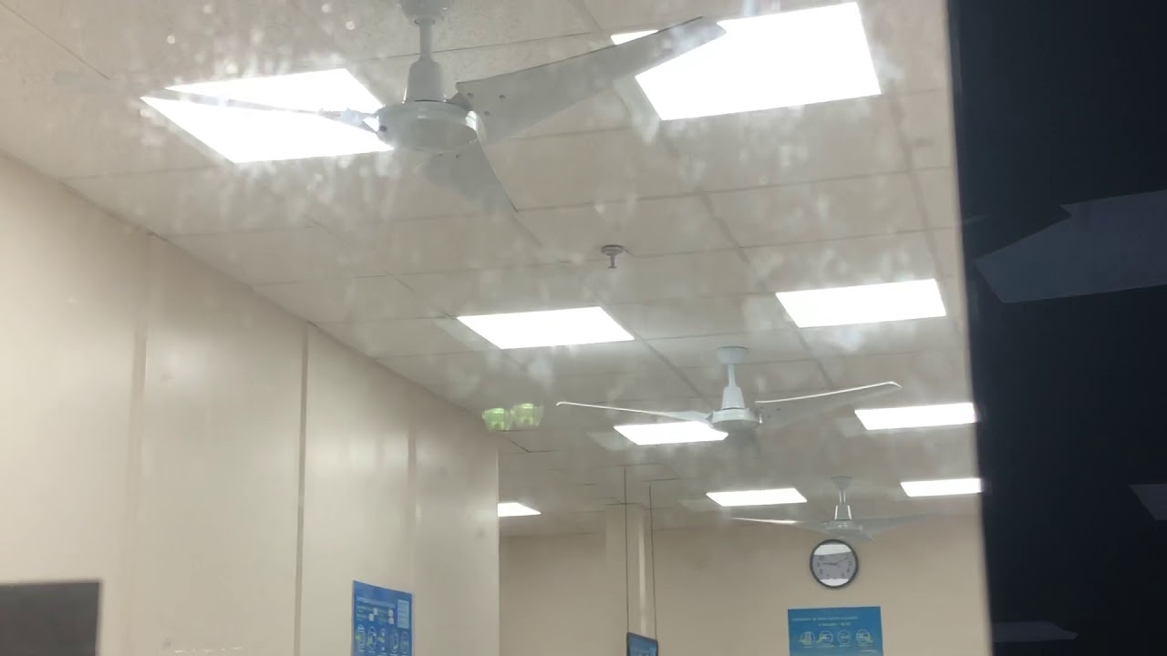 3 Hampton Bay Industrial Ceiling Fans at a laundromat - YouTube