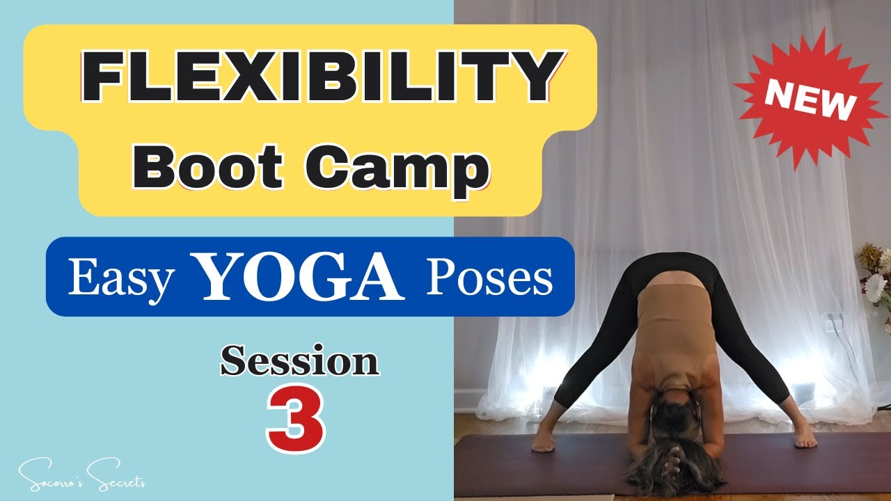 Ultimate Flexibility Boot Camp: Easy Yoga Poses - Session 3 # ...