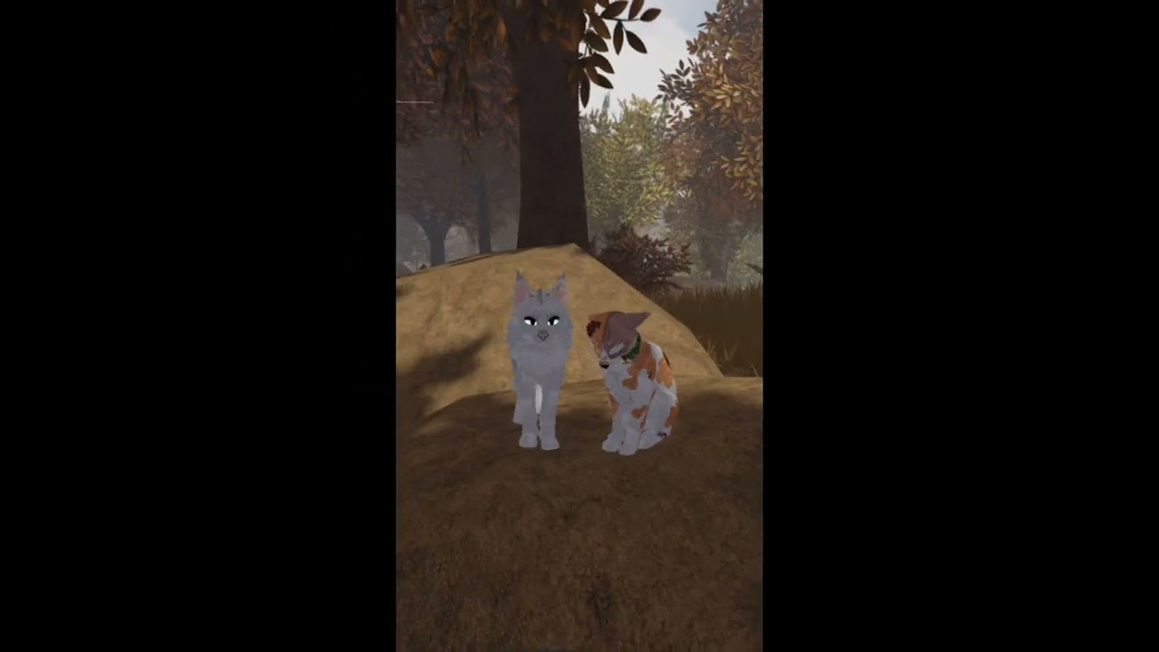 Mary on a cross - Brightheart x Cloudtail 🧡 |§| WCUE - YouTube Mary on a cross - Brightheart x Cloudtail 🧡 |§| WCUE - YouTube