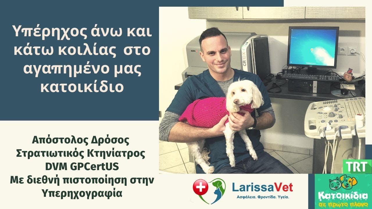 Υπέρηχος Κοιλίας Απόστολος Δρόσος Στρατιωτικός Κτηνίατρος - YouTube