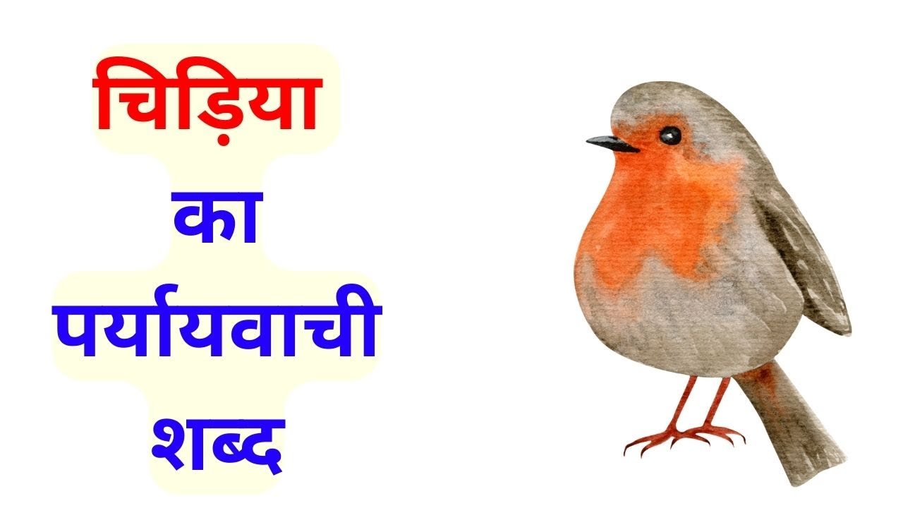 chidiya ka paryayvachi shabd || chidiya ka samanarthi shabd || चिड़िया ...
