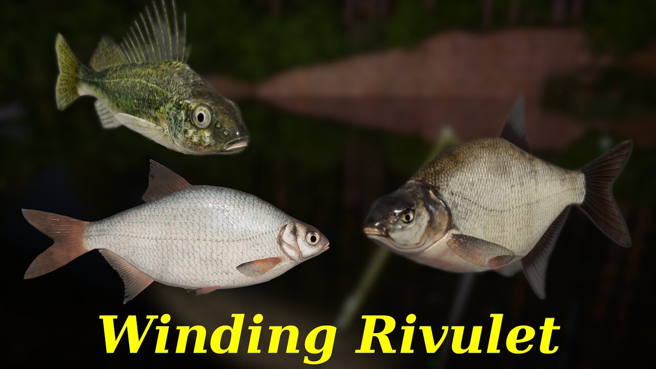 Russian Fishing 4 | Winding Rivulet | Bream Ruffe | SPOT RF4 #166 - YouTube