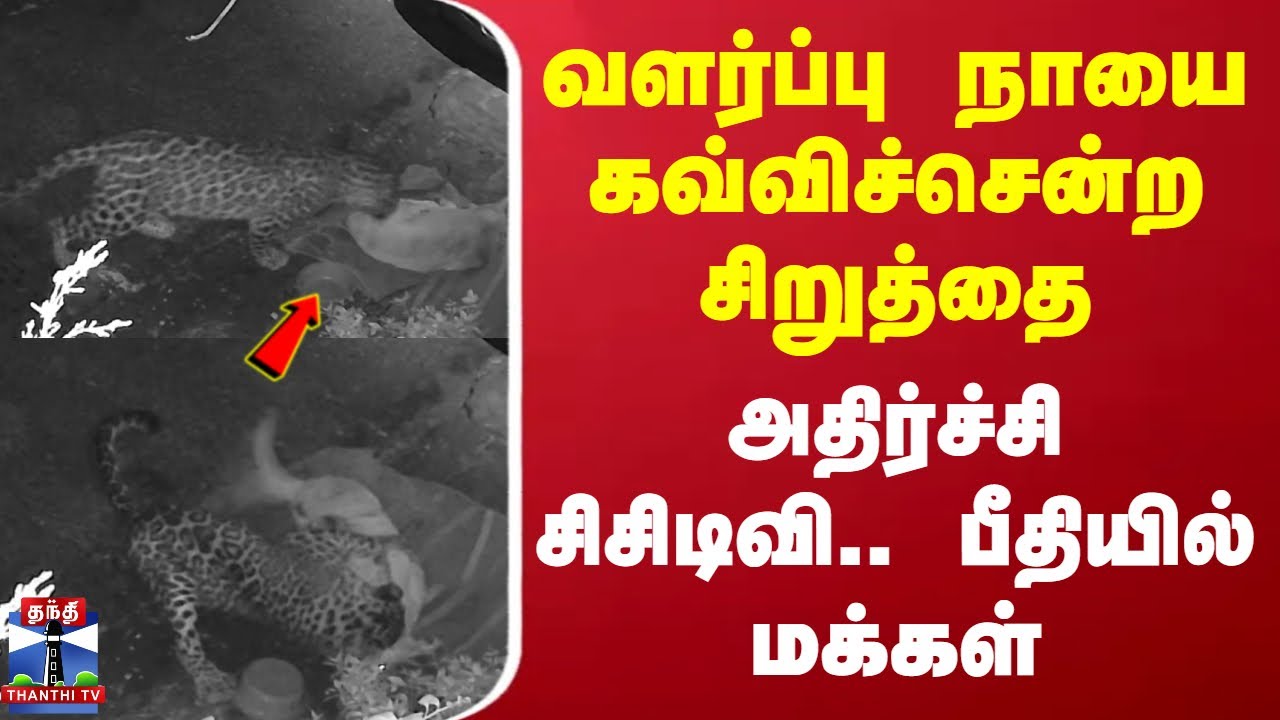 Kerala | Cheetah | Viral Video | வளர்ப்பு நாயை கவ்விச்சென்ற சிறுத்தை ...