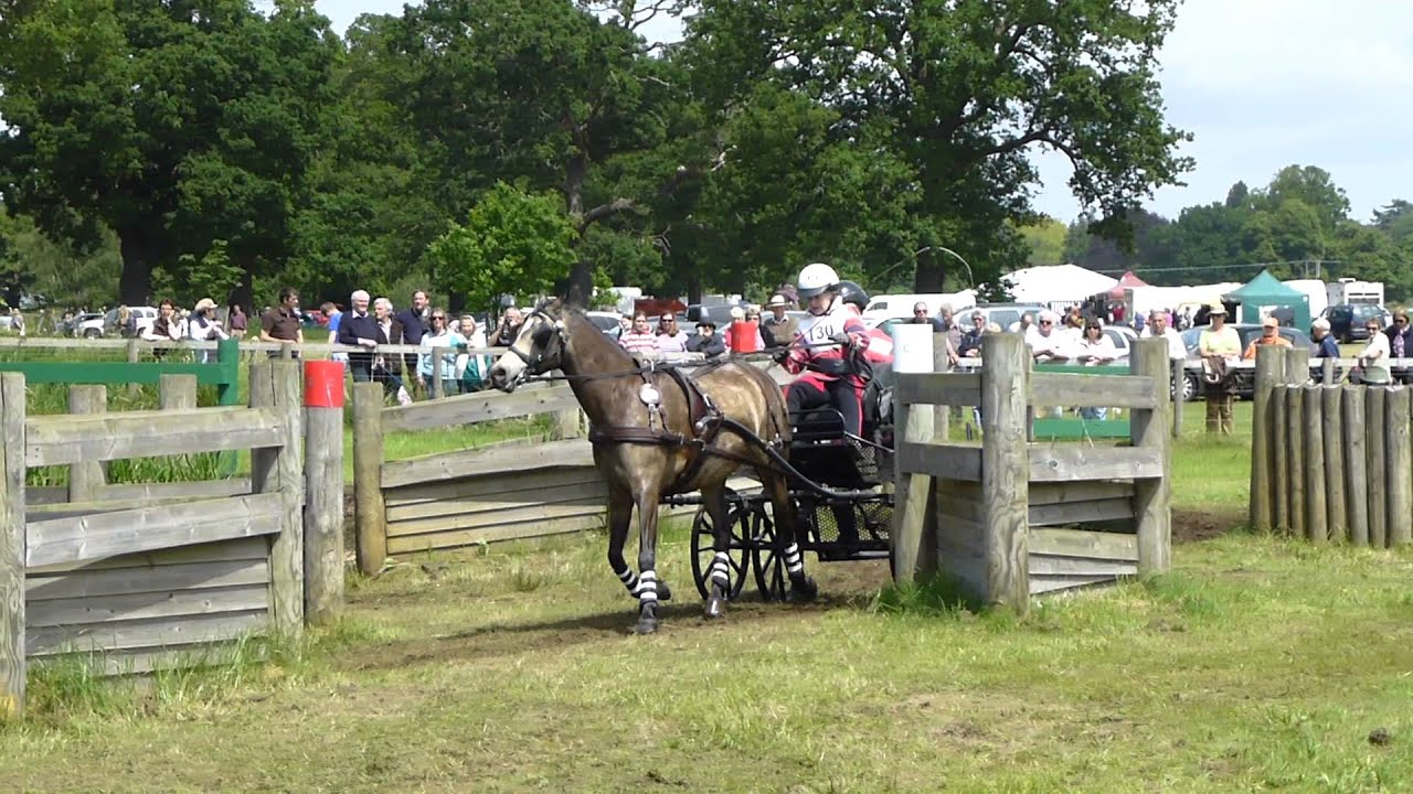 32 Judi Ralls GBR), FEI Para Equestrian, Sandringham Horse Driving ...