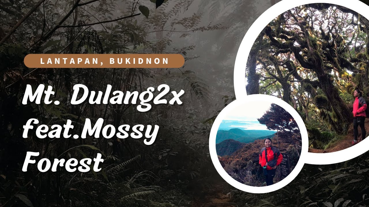 Mt Dulang2x feat. Mossy Forest (Lantapan, Bukidnon) - YouTube