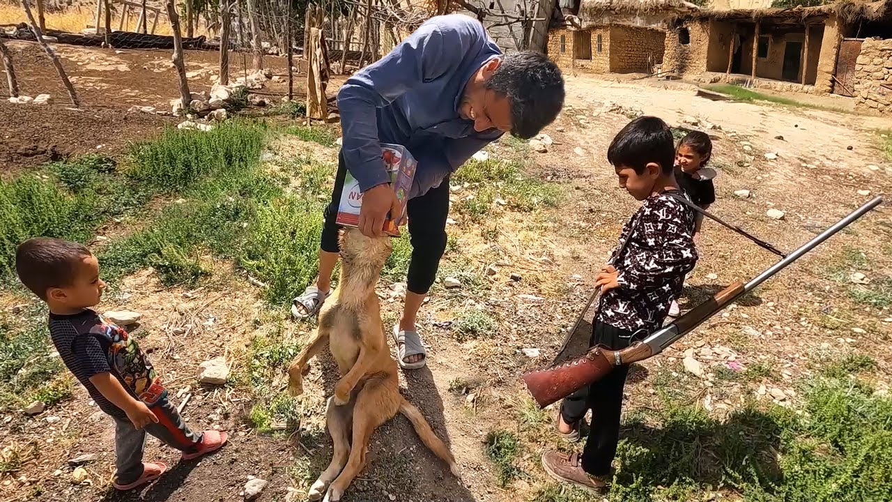 Starving dog rescued from near-death by the nomads💚💚💚💚💚 - YouTube