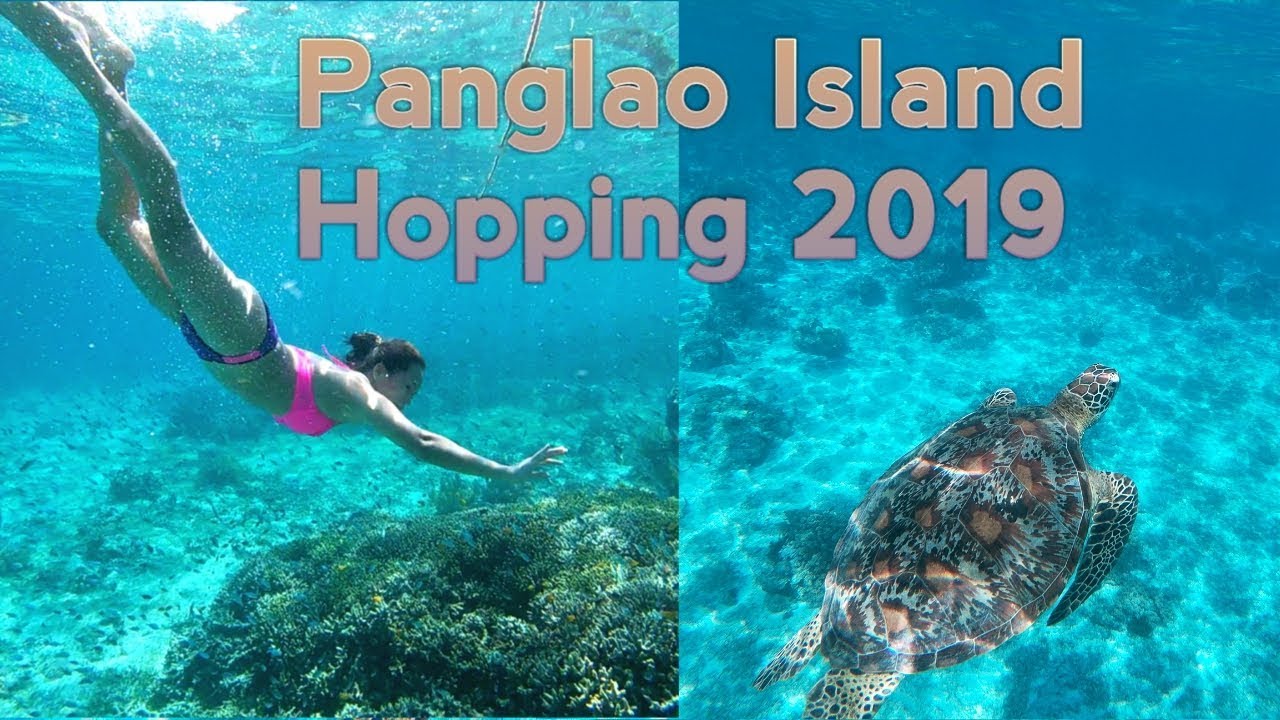 Panglao, Bohol Island Hopping - Balicasag, Dolphin watching, Sea ...