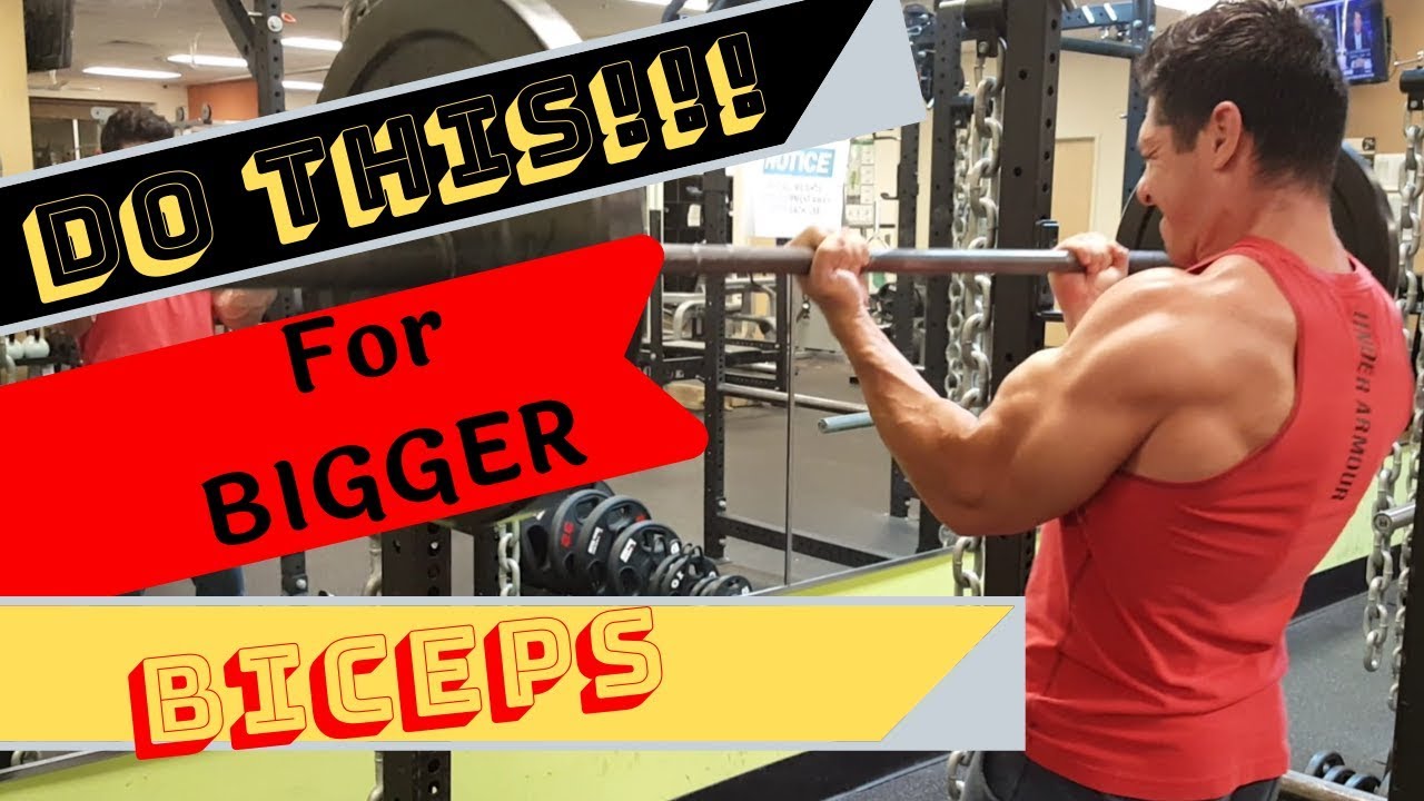 Three Bicep exercises you need to be doing - YouTube