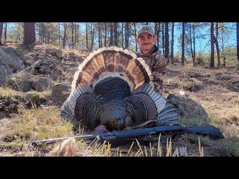 NEW MEXICO TURKEY HUNT PART 2 (2024) - YouTube