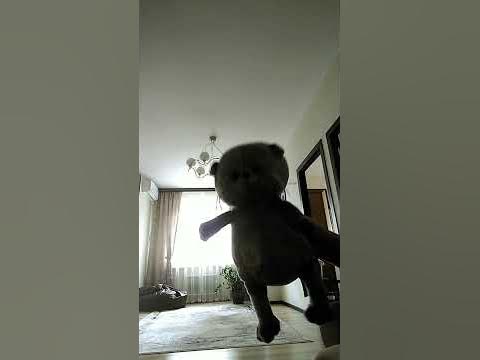 бдыщь🤐😶🤥 - YouTube