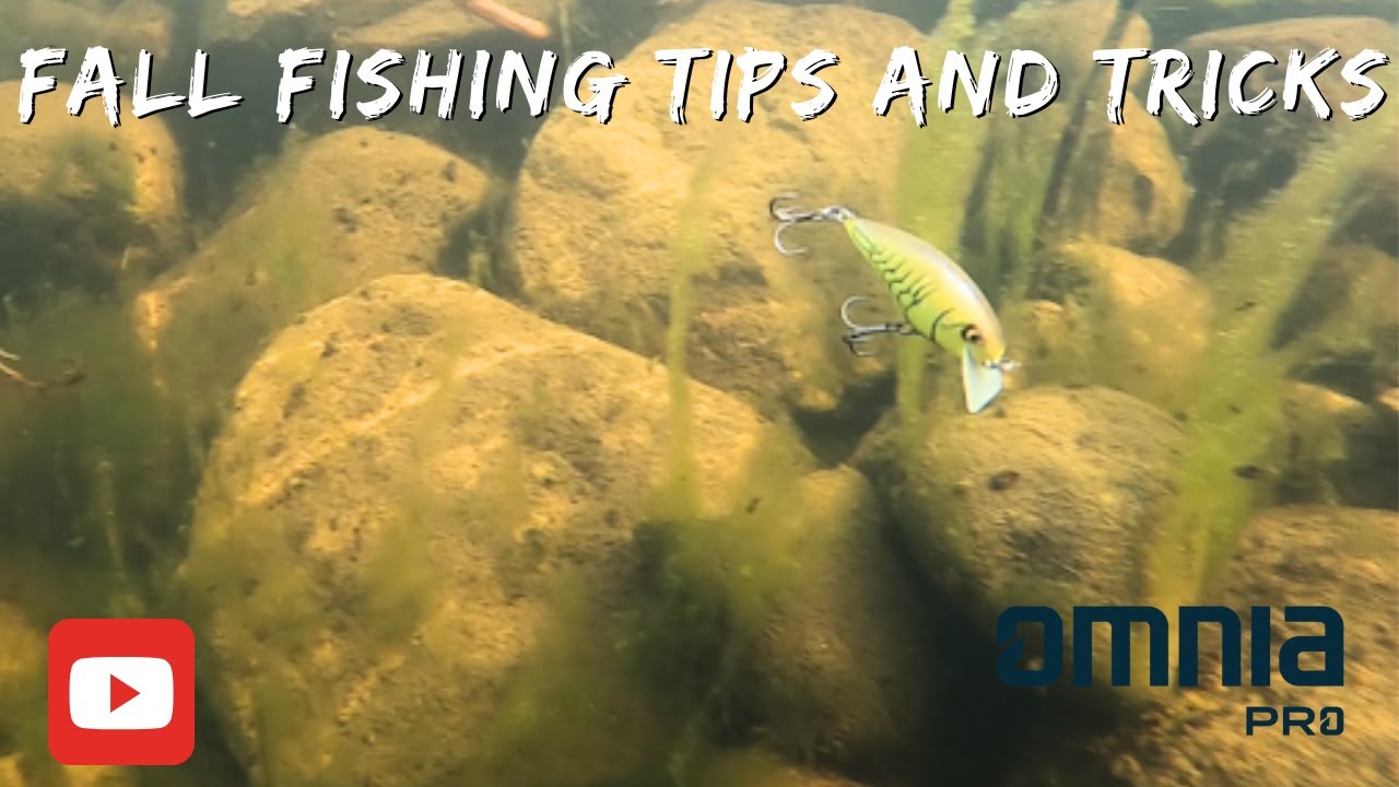 Fall Bass Fishing tips and tricks! - YouTube