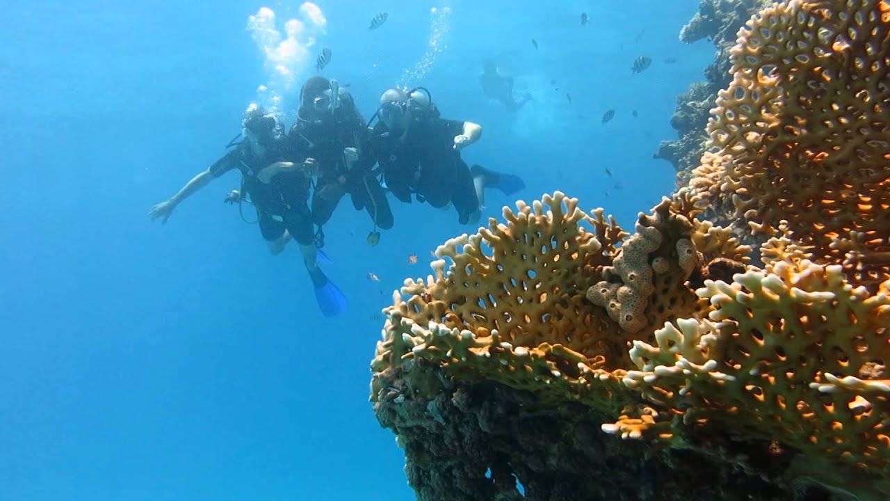 HURGHADA RED SEA SCUBA DIVING HEYHOE - YouTube