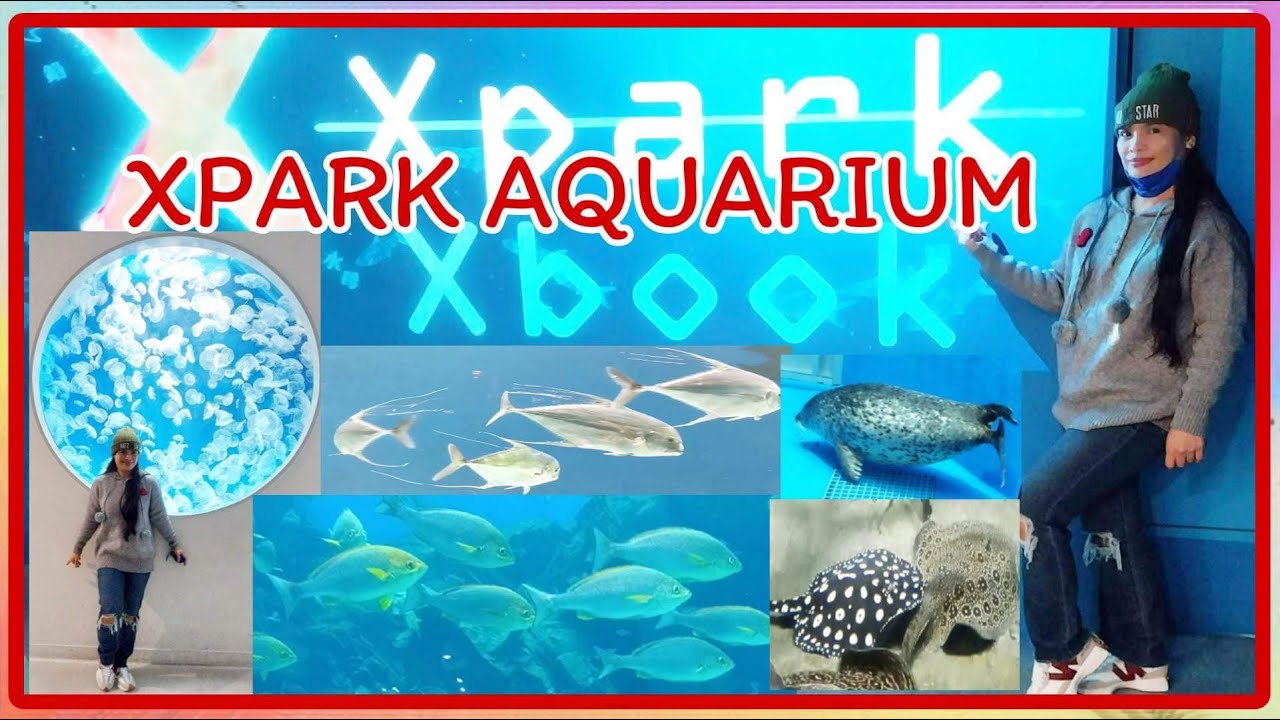 XPARK AQUARIUM TAOYUAN TAIWAN||Indoor Aquatic Aquarium - YouTube