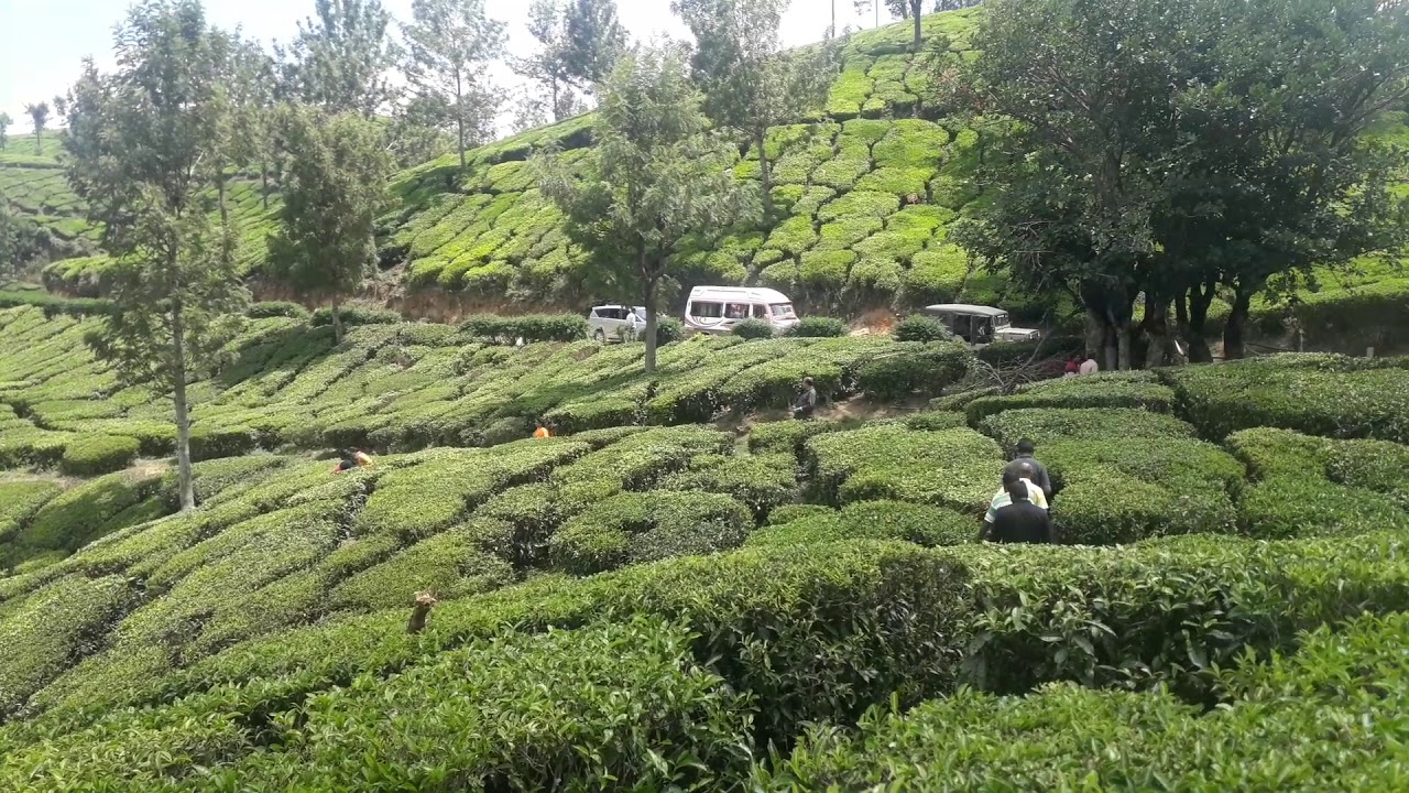 Munnar mountain view - YouTube