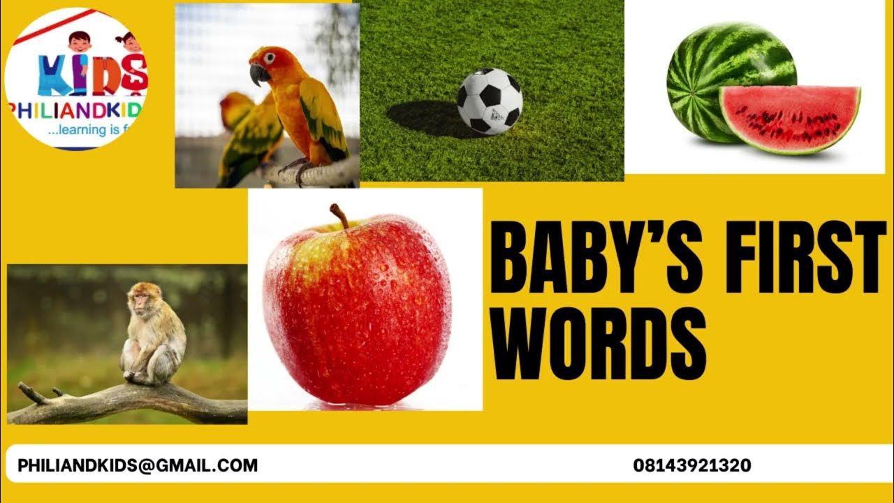 Baby's First Word - Learn names of common Objects /Identify Objects for Toddlers/ Objects for ...