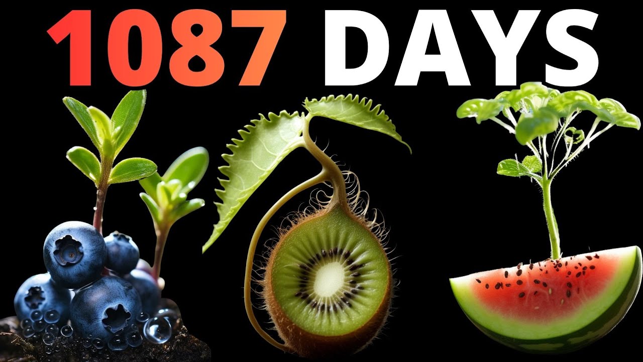 1087 Days Of Plant Growth In 15 Minutes! - YouTube