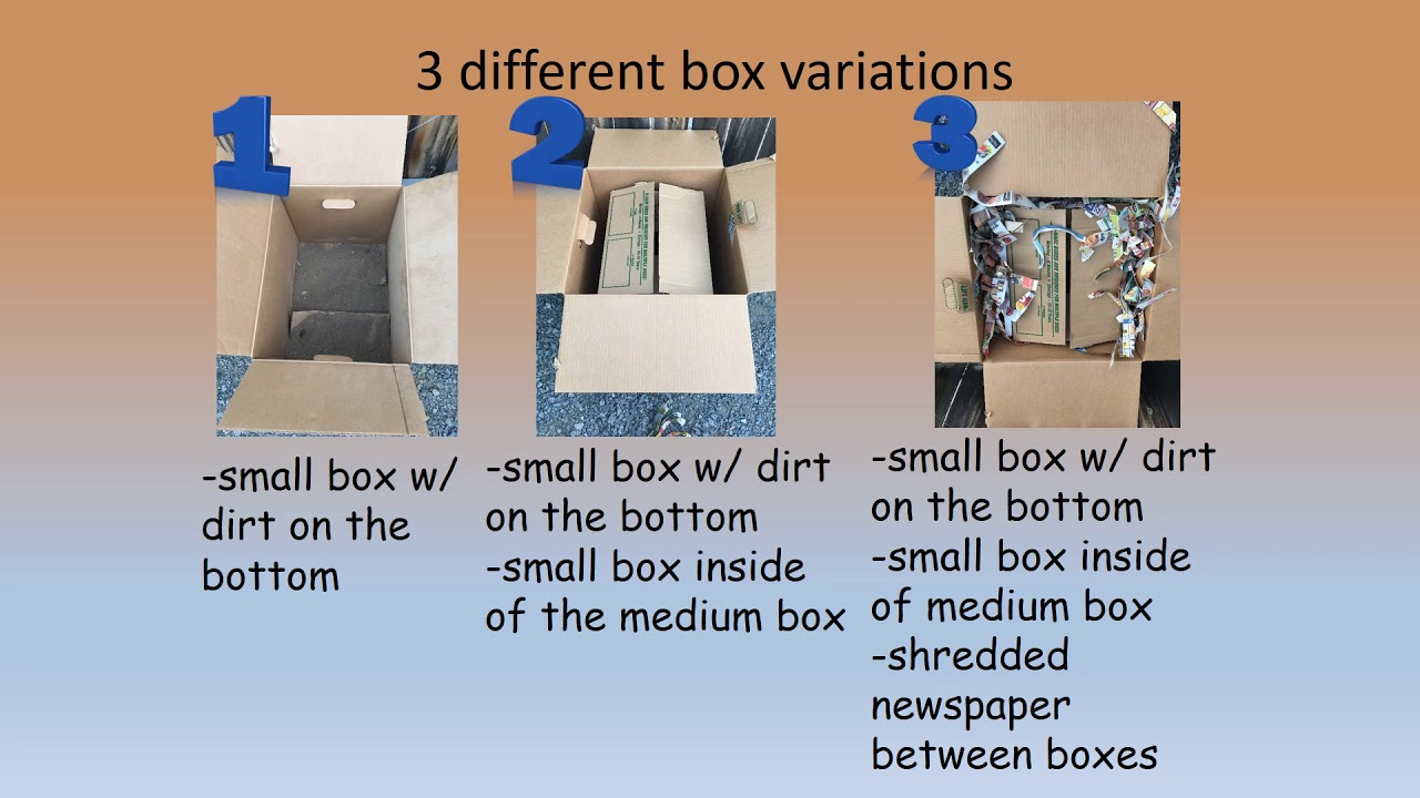 Quick Guide to Brumating your desert tortoise in Northern Nevada - YouTube