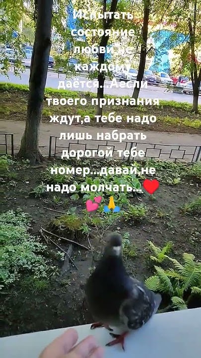 Береги любовь не путай любовь с притяжением к противоположному полу не