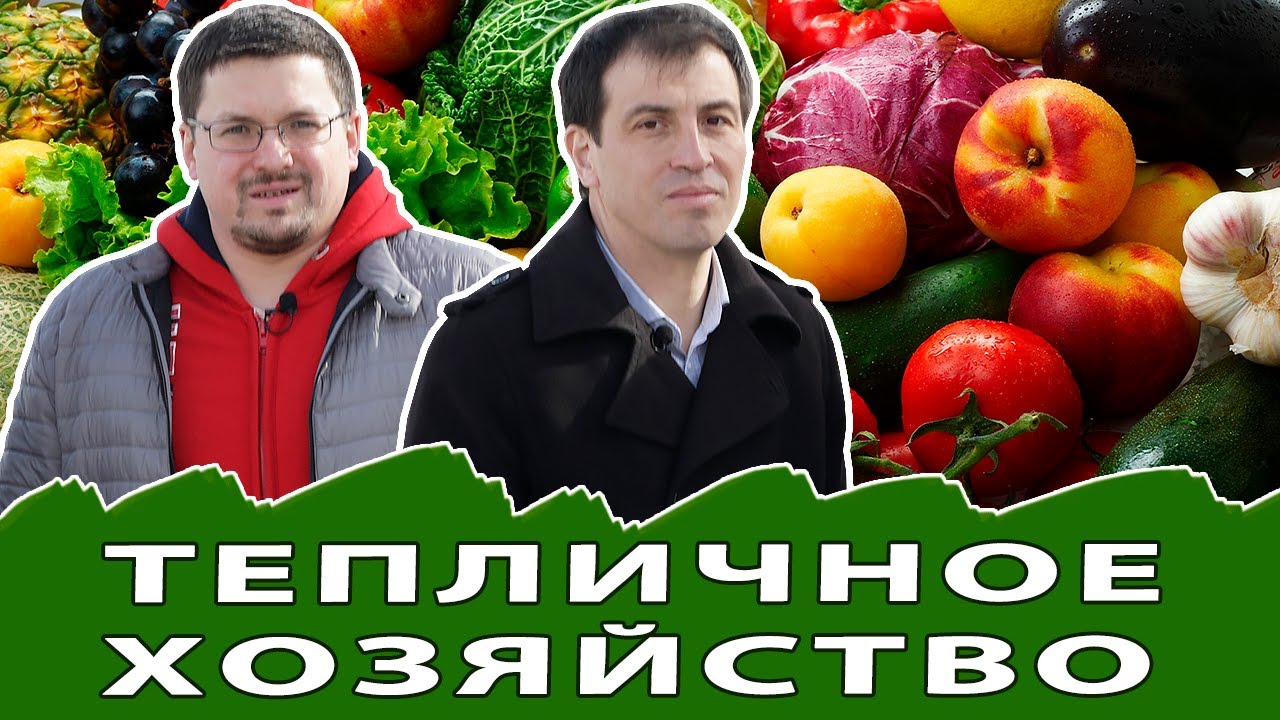 Как зарабатывать на выращивании овощей Youtube