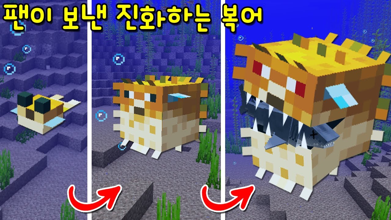 팬이 준 진화하는 복어 아기 복어→초거대 복어왕으로 근데 복어왕을 잡으라고 도망 불가ㅋㅋ 마인크래프트 Youtube