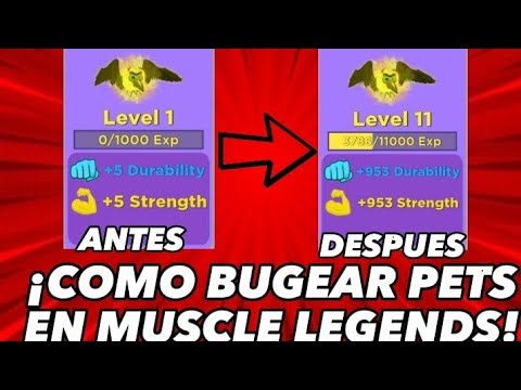 ¡Aprende a bugear Pets de Muscle Legends en este video! - YouTube