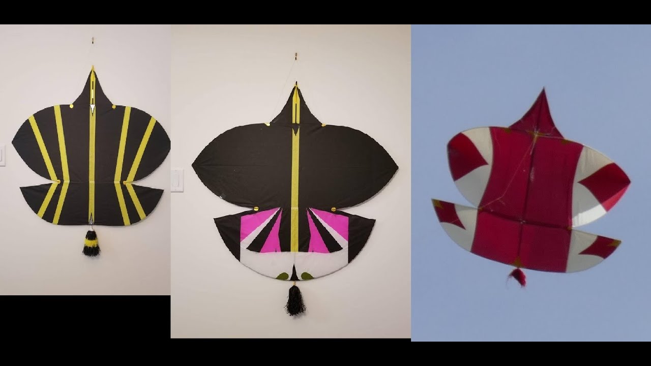 Patang Bazi Canada ( Kite Fighting ) Kite Flying Pipa Combate I Basant ...
