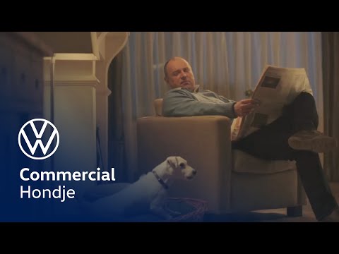 This dog is quite impressed by Volkswagen.