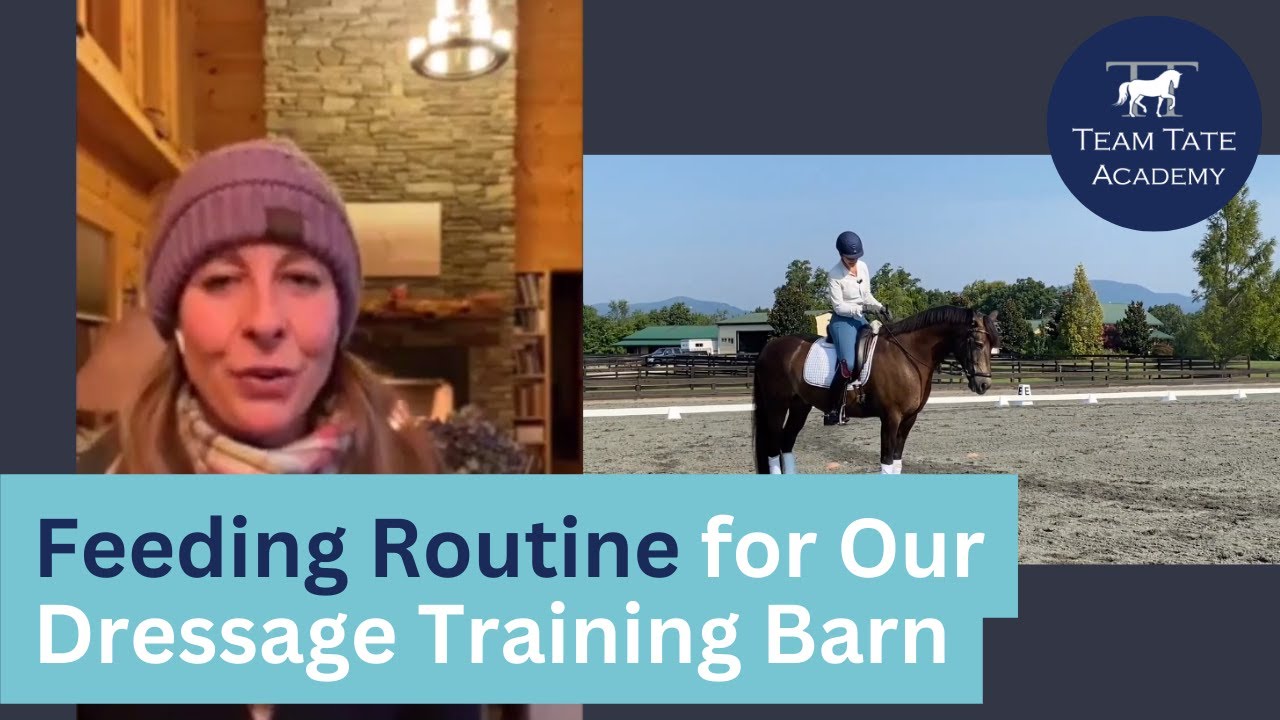 Feeding Routine for an International FEI Dressage Training Barn - YouTube