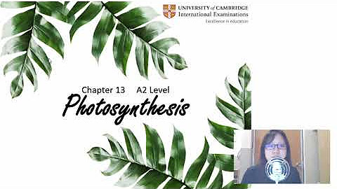 Chapter 13 - Photosynthesis | Cambridge A-Level 9700 Biology - YouTube