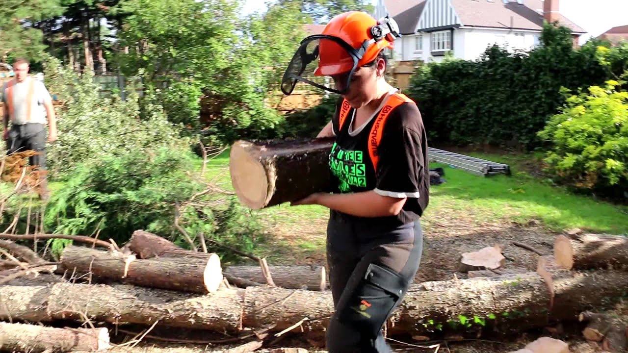 Welcome to T H Tree Services - YouTube